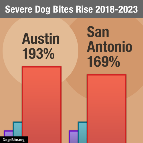 New Report Reveals Near Tripling of Severe Dog Bite Injuries in Austin ...